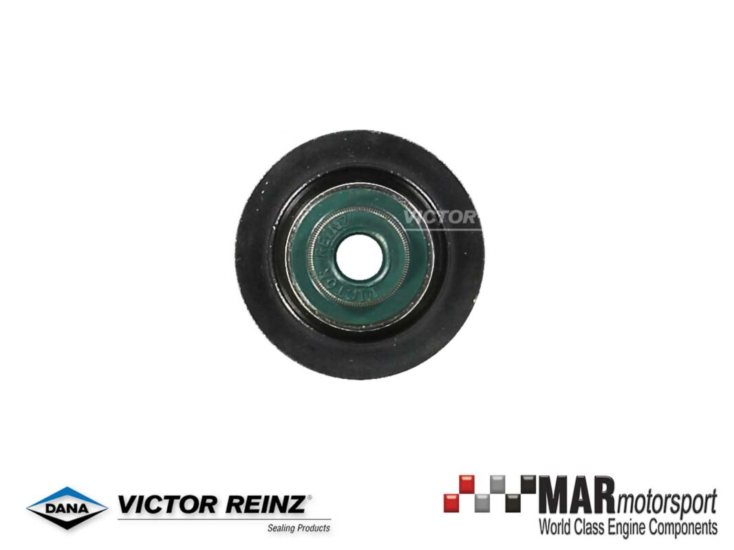 Ford Duratec 2.0 | 2.3 | EcoBoost | 2.0 | 2.3 | REINZ Inlet Valve Stem ...